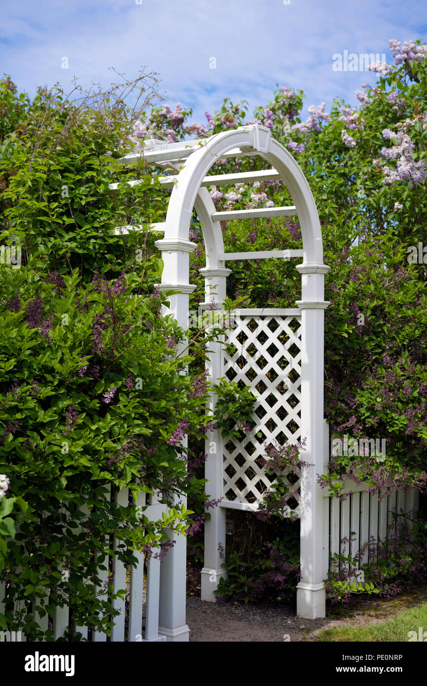 Craftsman Painted Fence