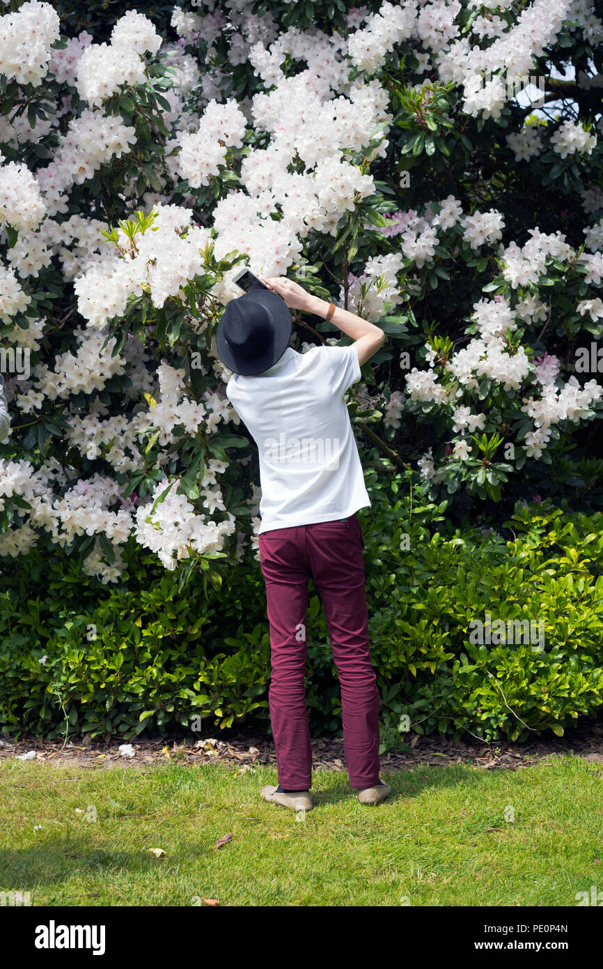 Boy photographs in nature hi-res stock photography and images - Alamy