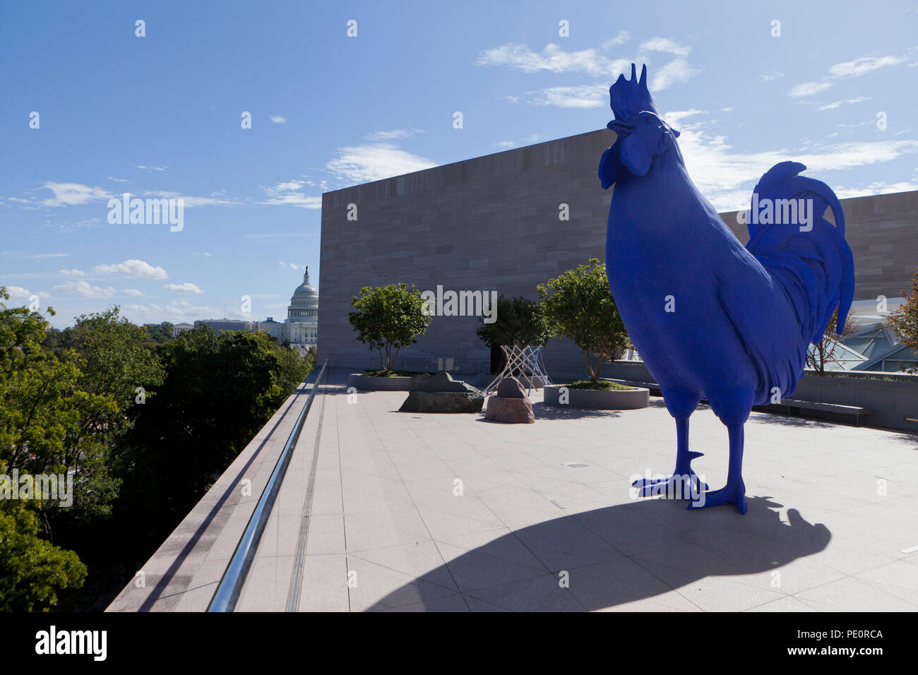 Hahn/Cock, giant blue cockerel by Katharina Fritsch - Washington, DC ...