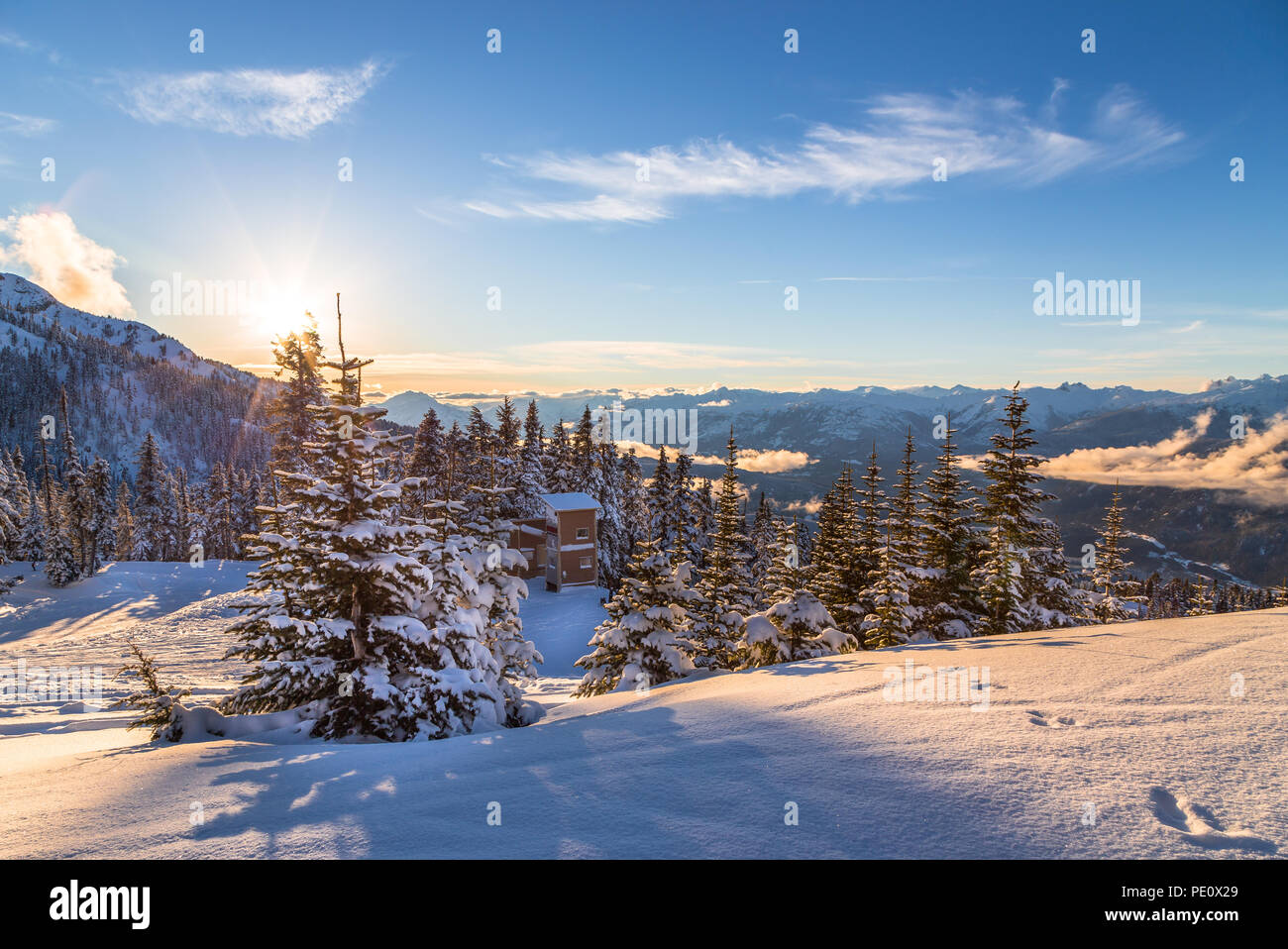 Snow covered trees with Whistler Creekside valley in the background ...
