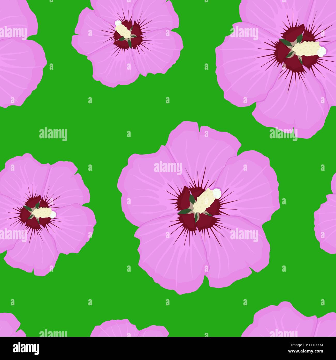 Hibiscus flower and green background Stock Vector Images - Alamy