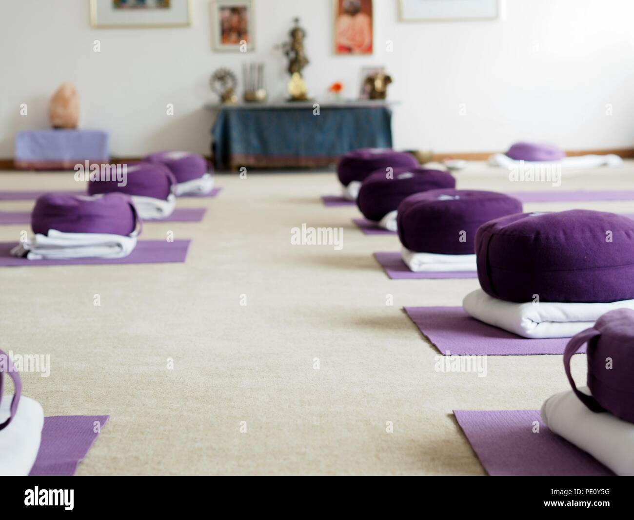 Purple coloured yoga mat and yoga cushion in a yoga room Stock Photo ...