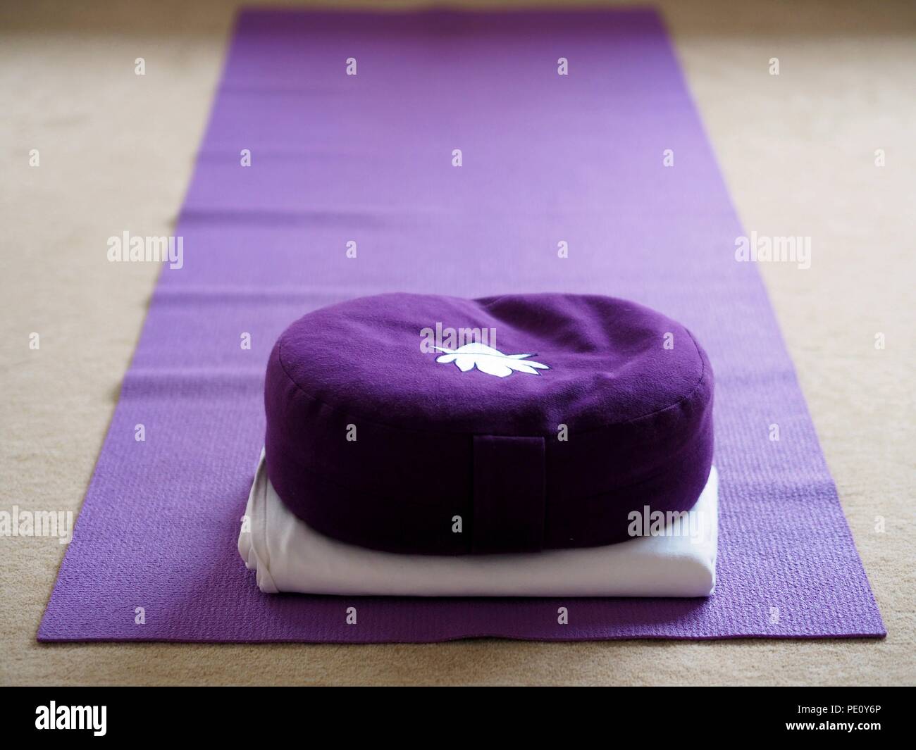 Yoga exercise lifestyle icons hi-res stock photography and images - Alamy