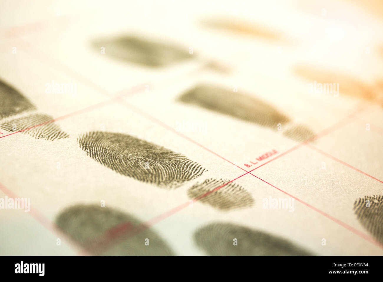 forensic concept of physiological biometrics criminal record by suspect ...