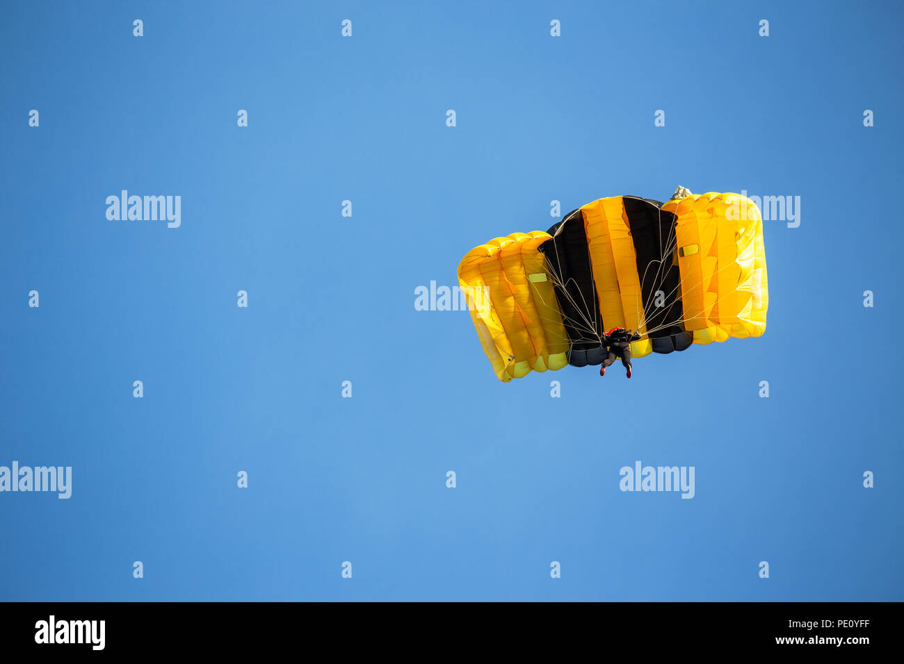isolated skydiver in yellow parachute gliding after free fall jump with ...