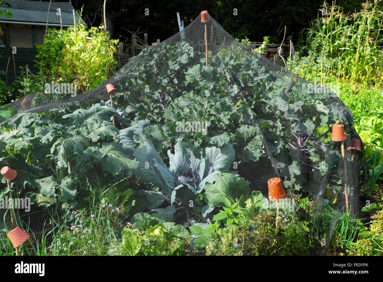 Kalete hi-res stock photography and images - Alamy
