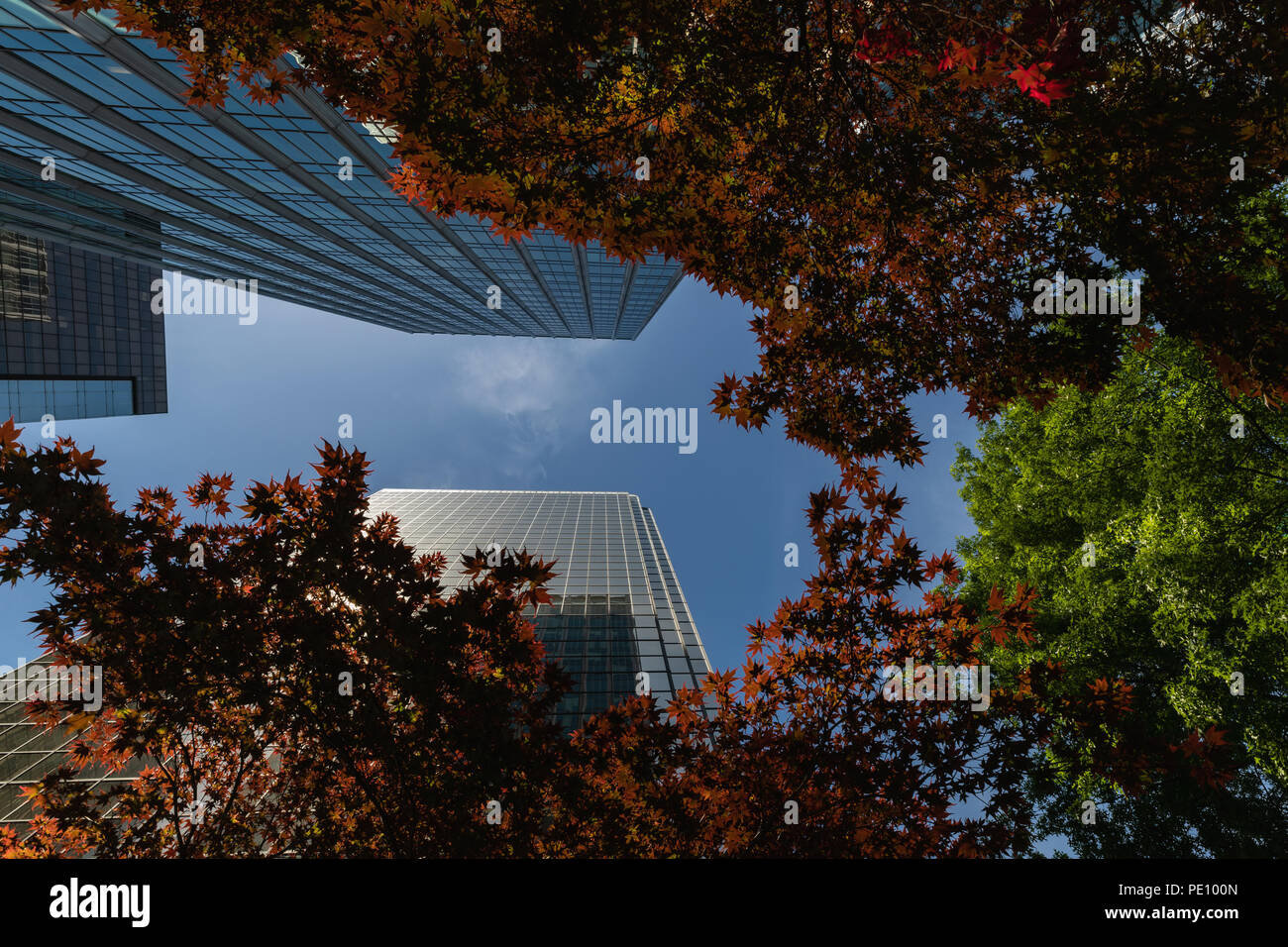 Modern skyscrapers low angle hi-res stock photography and images - Alamy