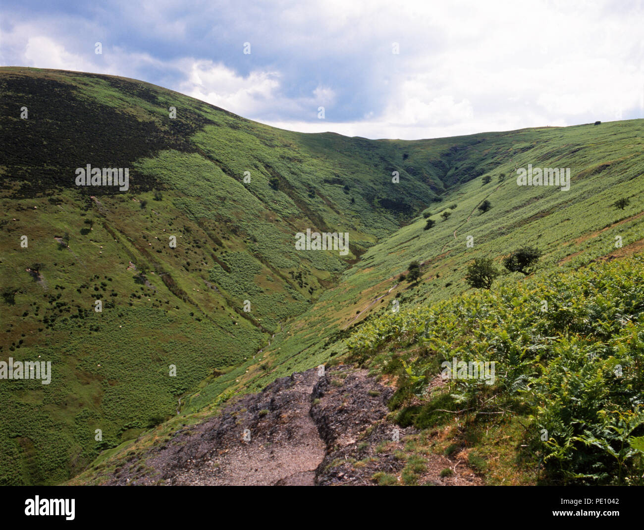 The Long Mynd, Shropshire, England Stock Photo - Alamy