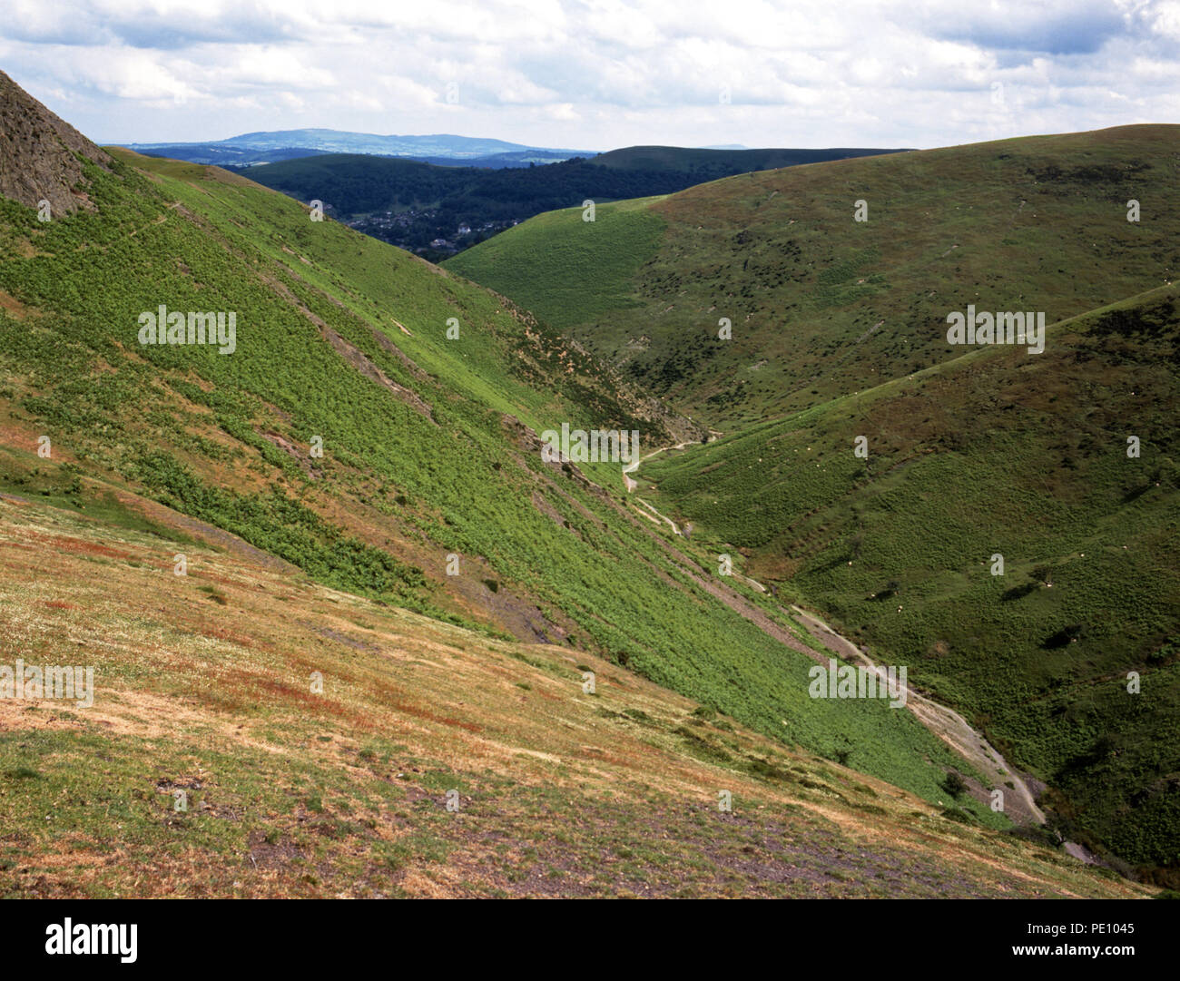 The Long Mynd, Shropshire, England Stock Photo - Alamy