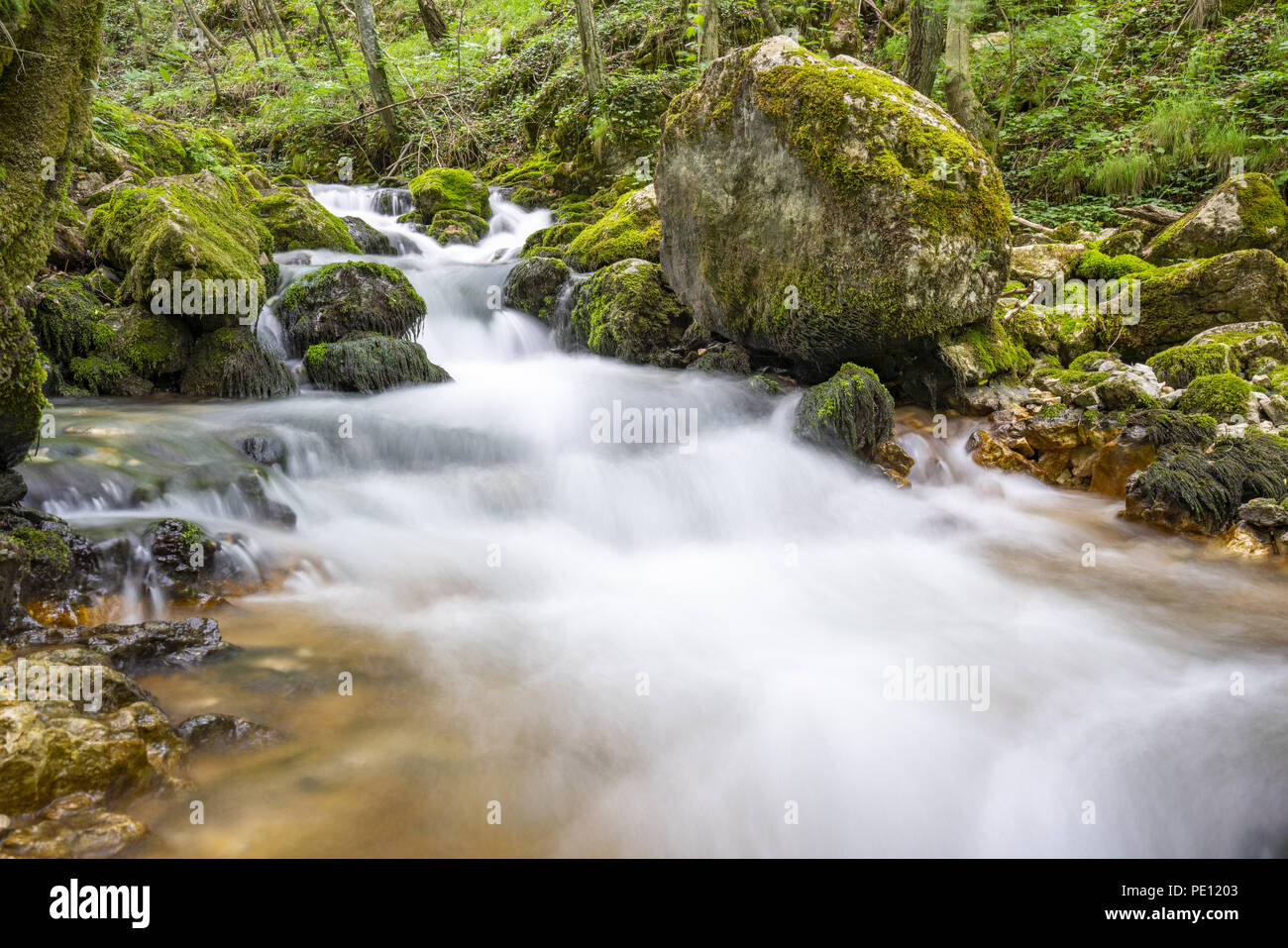 River of the Bigar Waterfall above the cascade Romania Stock Photo - Alamy