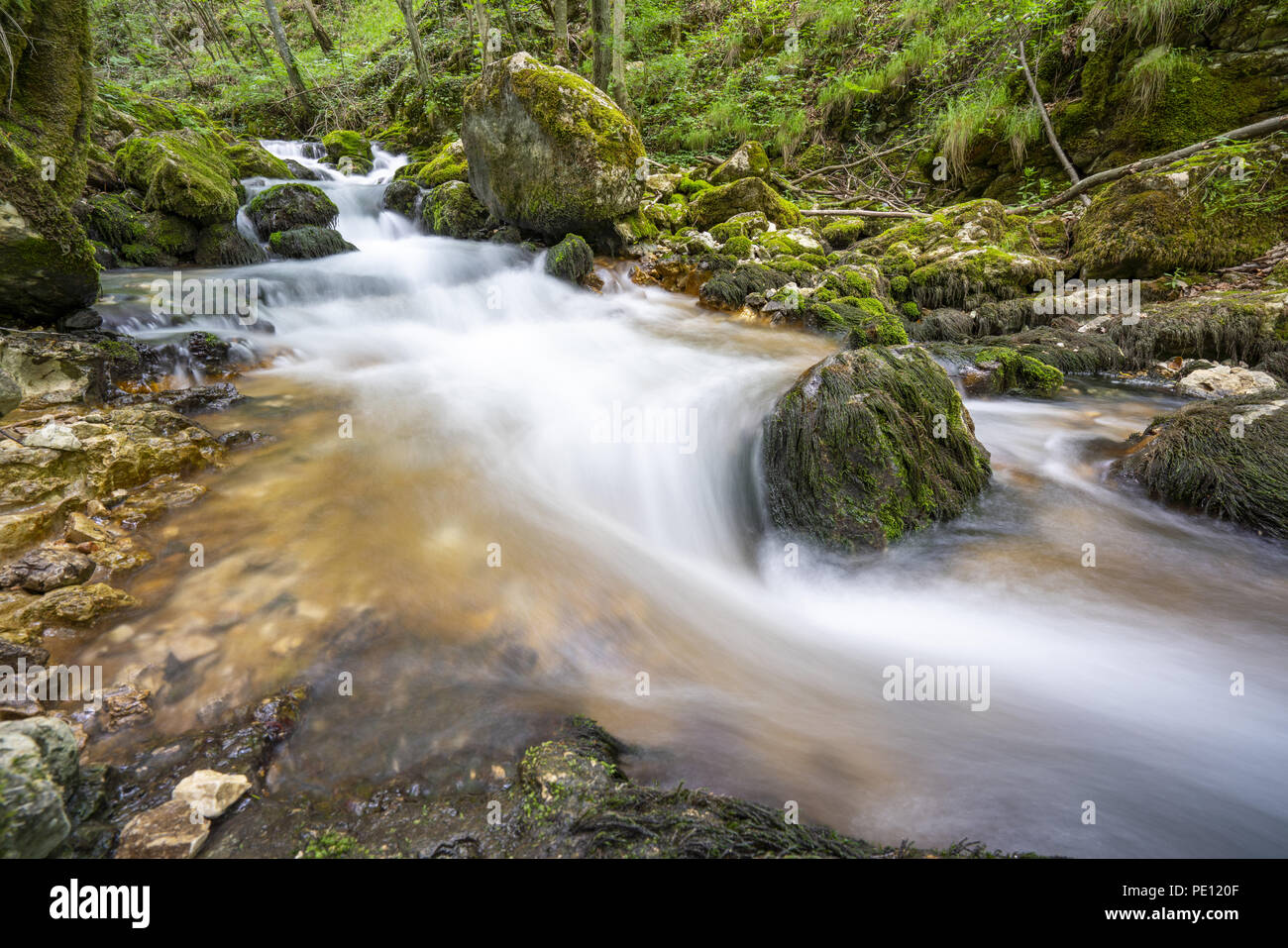 River of the Bigar Waterfall above the cascade Romania Stock Photo - Alamy