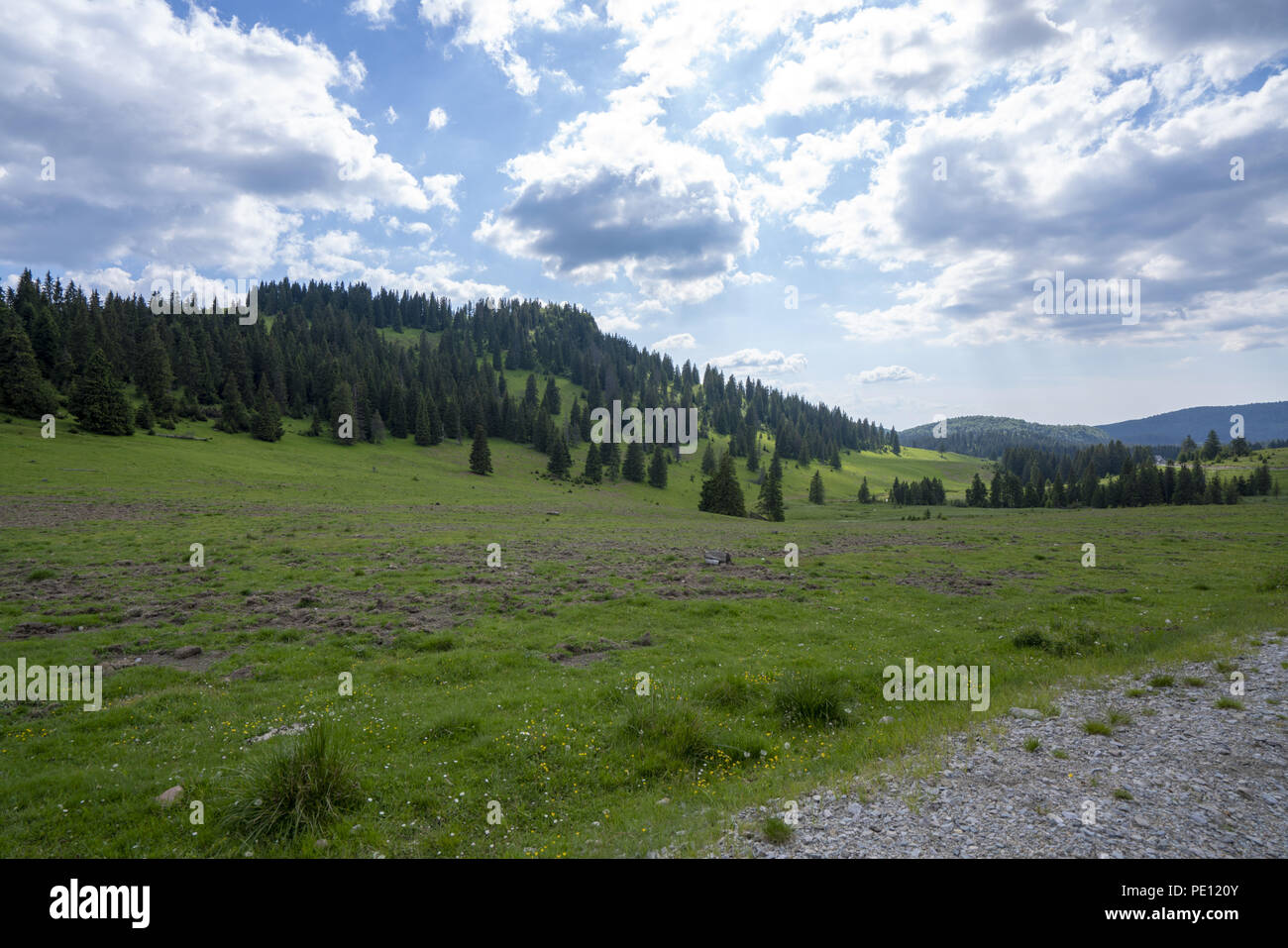 Mountain Apuseni Zona Padis Romania on the peak Stock Photo - Alamy