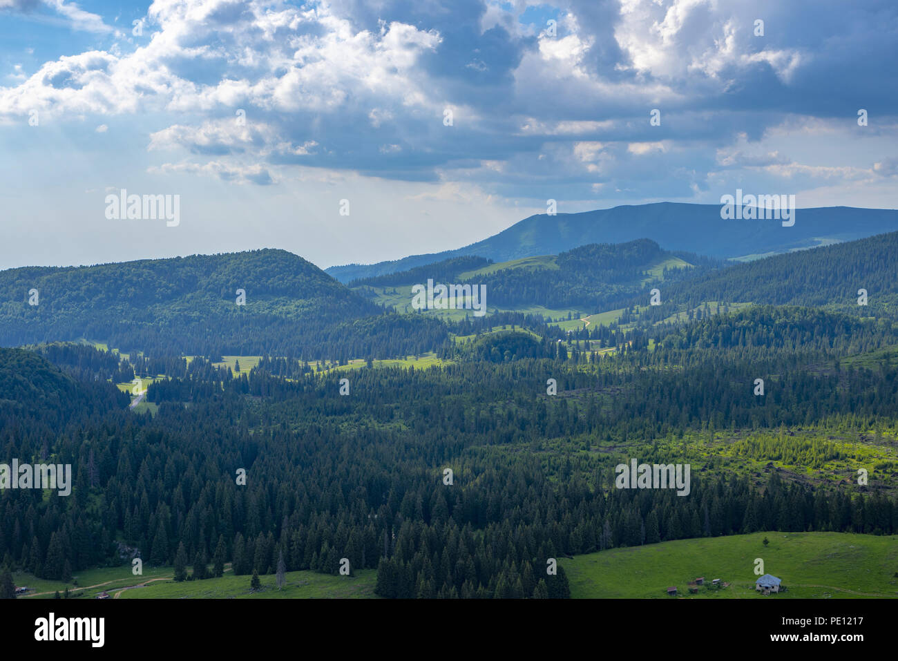 Mountain Apuseni Zona Padis Romania on the peak Stock Photo - Alamy