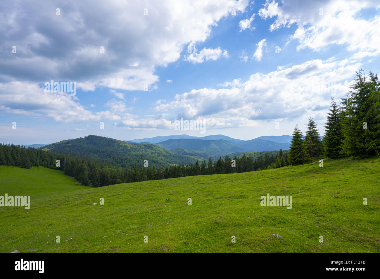 Mountain Apuseni Zona Padis Romania on the peak Stock Photo - Alamy