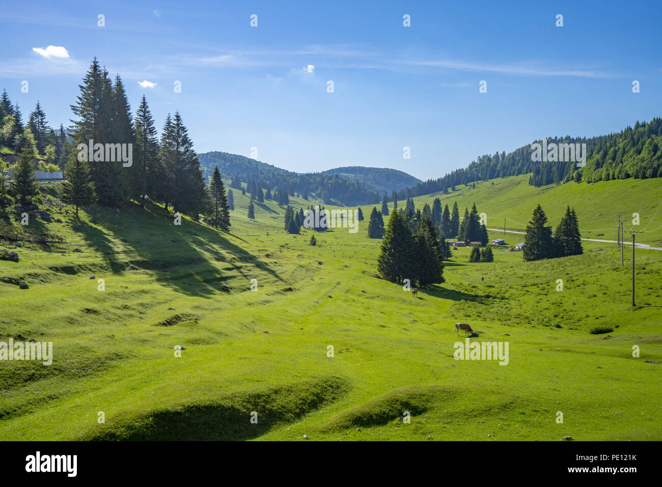 Mountain Apuseni Zona Padis Romania on the peak Stock Photo - Alamy