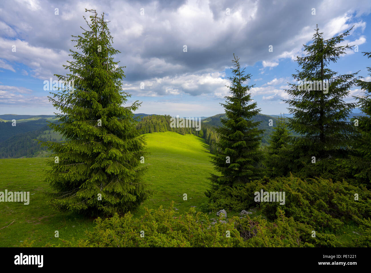 Mountain Apuseni Zona Padis Romania on the peak Stock Photo - Alamy