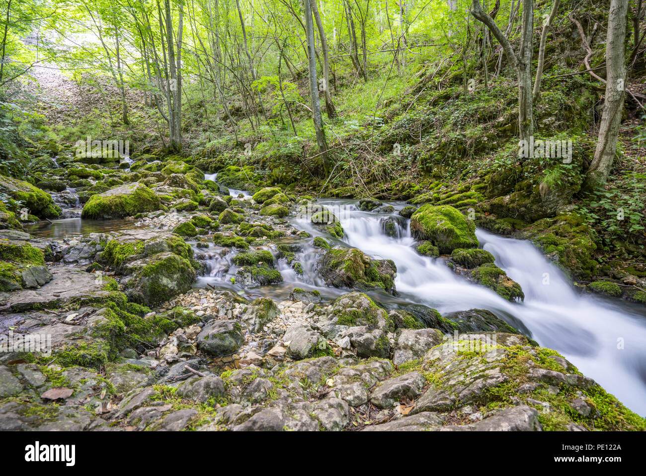River of the Bigar Waterfall above the cascade Romania Stock Photo - Alamy