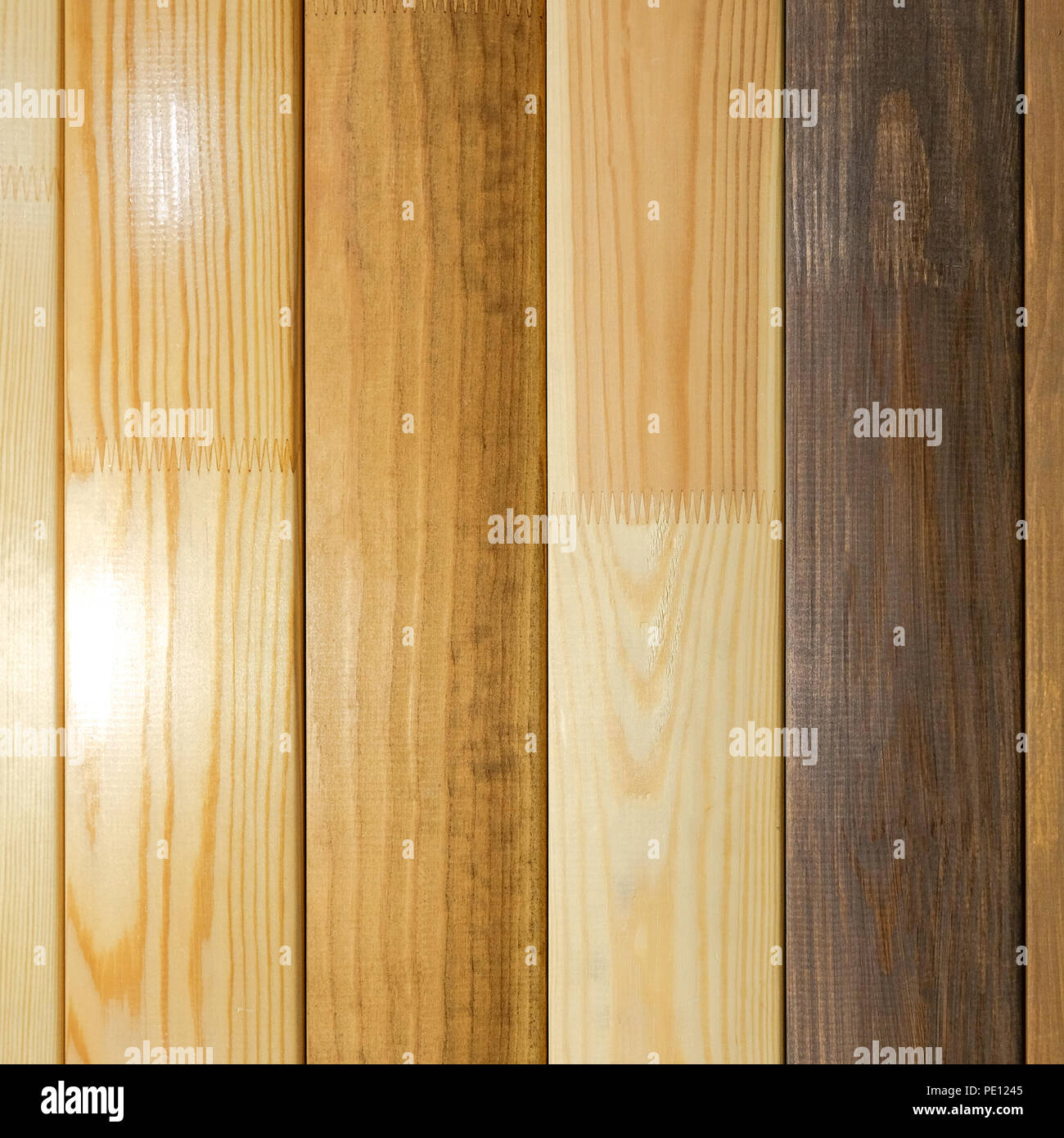 Polished Board. Different types of wood. White oak. Bog oak. Light ...