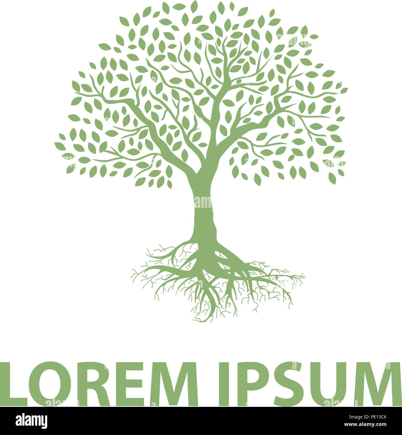 tree of life Stock Vector Image & Art - Alamy