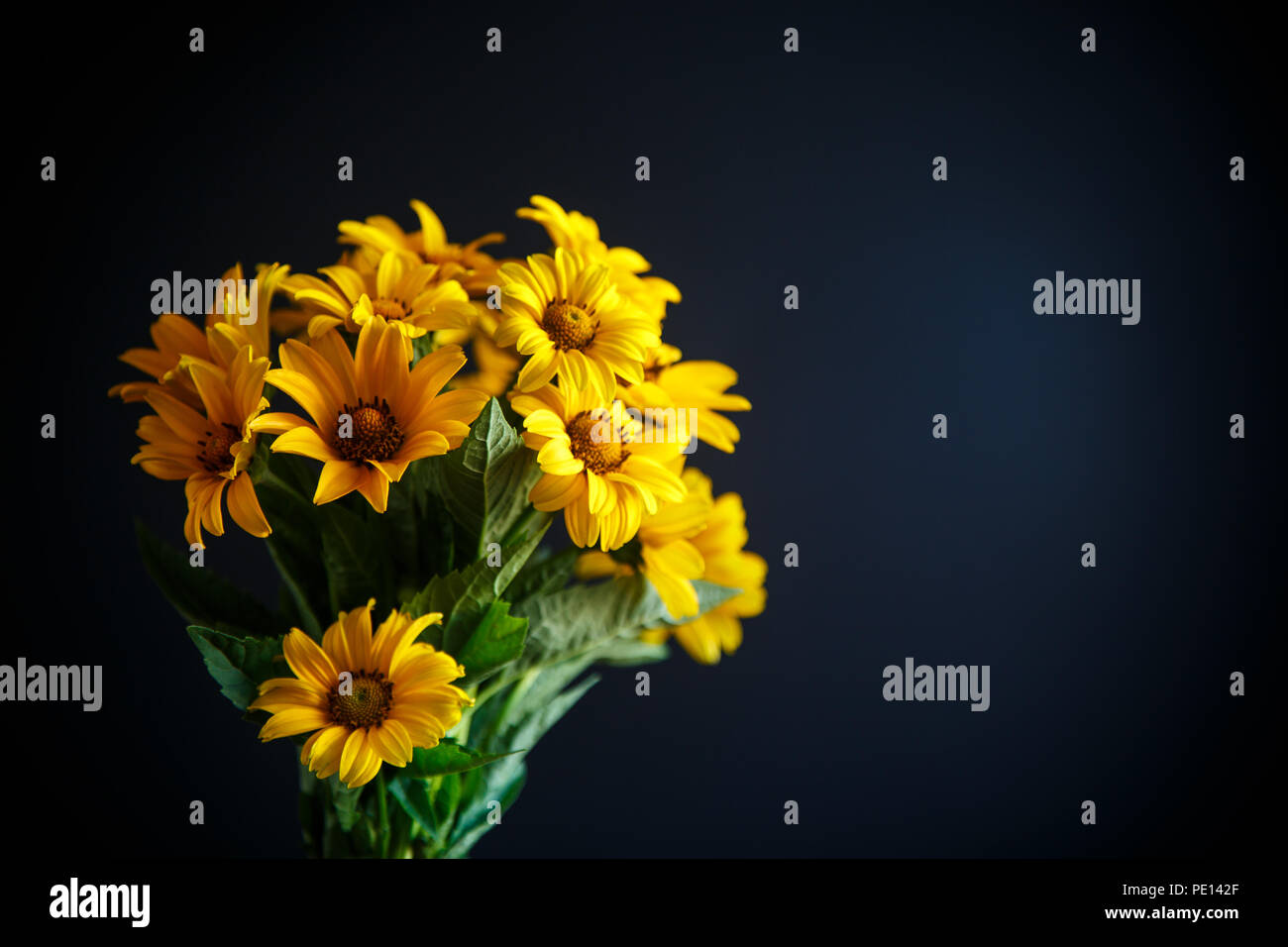 bouquet of yellow big daisies on a black Stock Photo - Alamy
