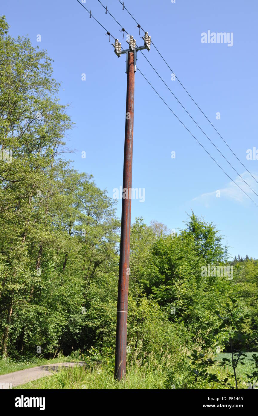 Wooden electric pole with line and tree in background Stock Photo - Alamy