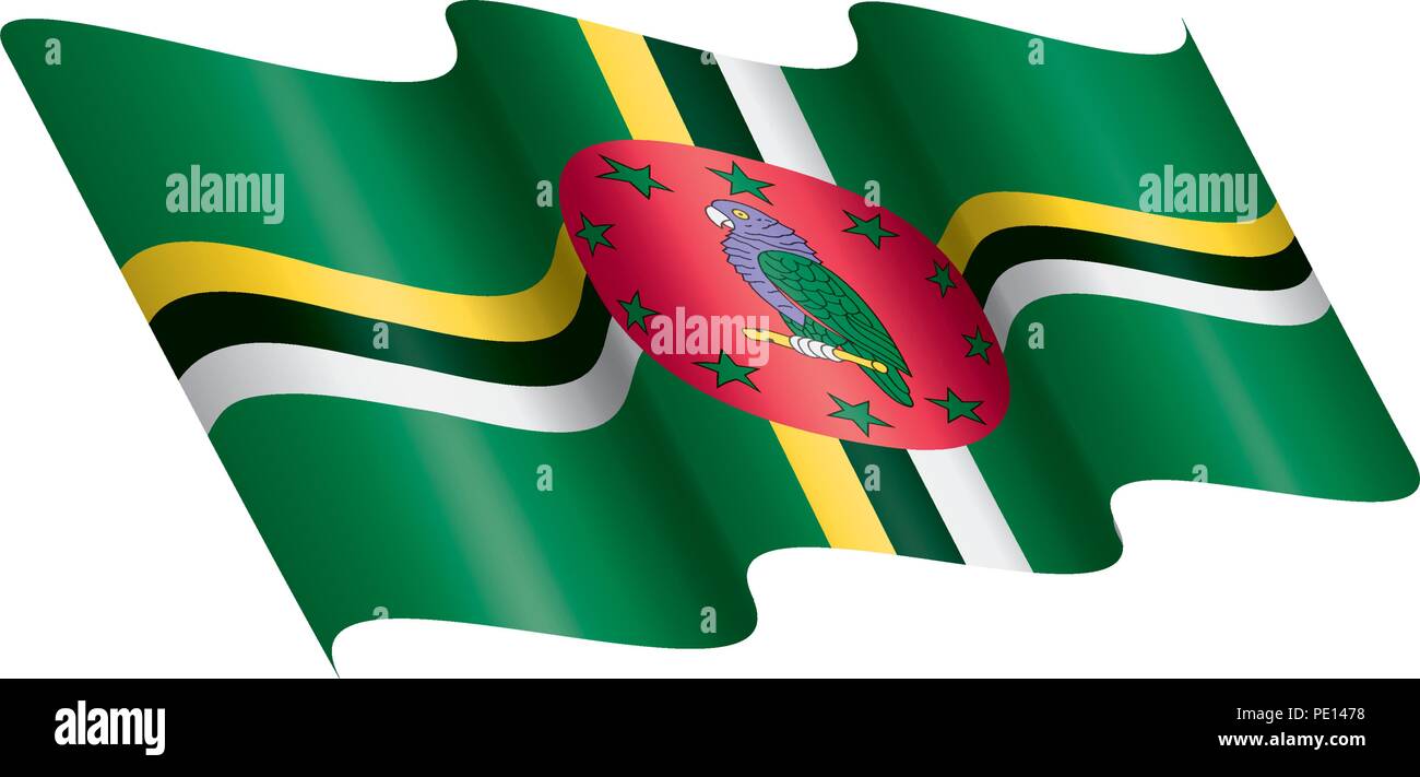 Dominica flag, vector illustration on a white background Stock Vector ...