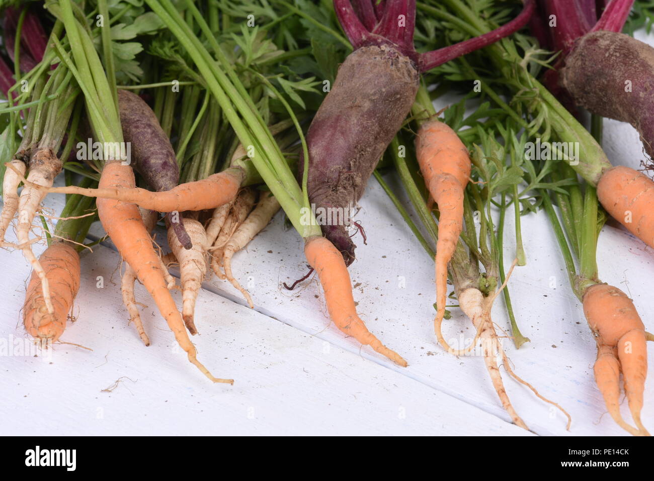 Healthy food early vegetable carrots, parsley and beet on old wooden ...