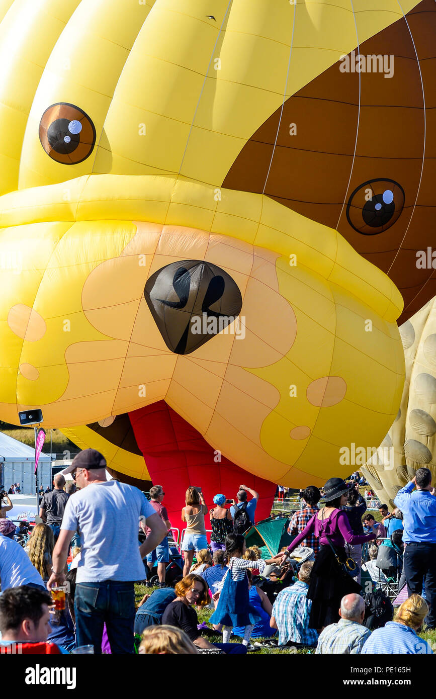 Dog Hot Air Balloon