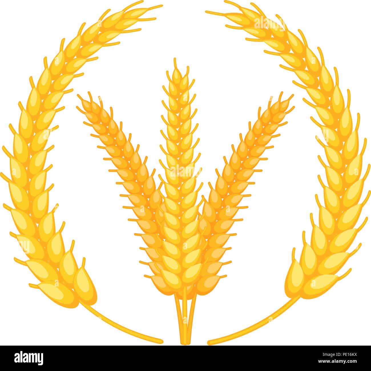 White sheaf wheat ripe Stock Vector Images - Alamy