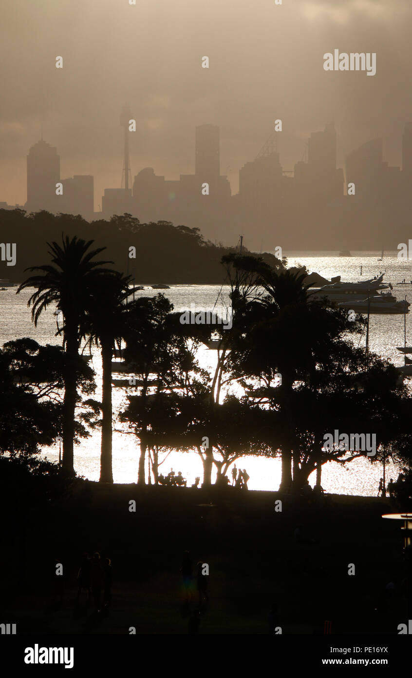 Skyline mit Sydney Tower, Sydney, Australia Stock Photo - Alamy