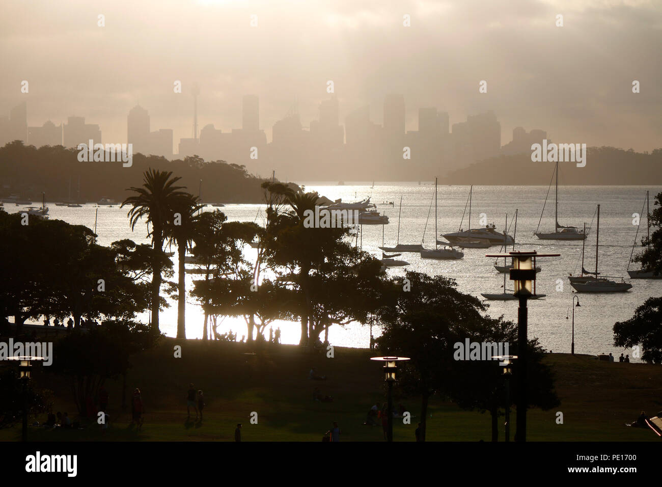 Skyline mit Sydney Tower, Sydney, Australia Stock Photo - Alamy