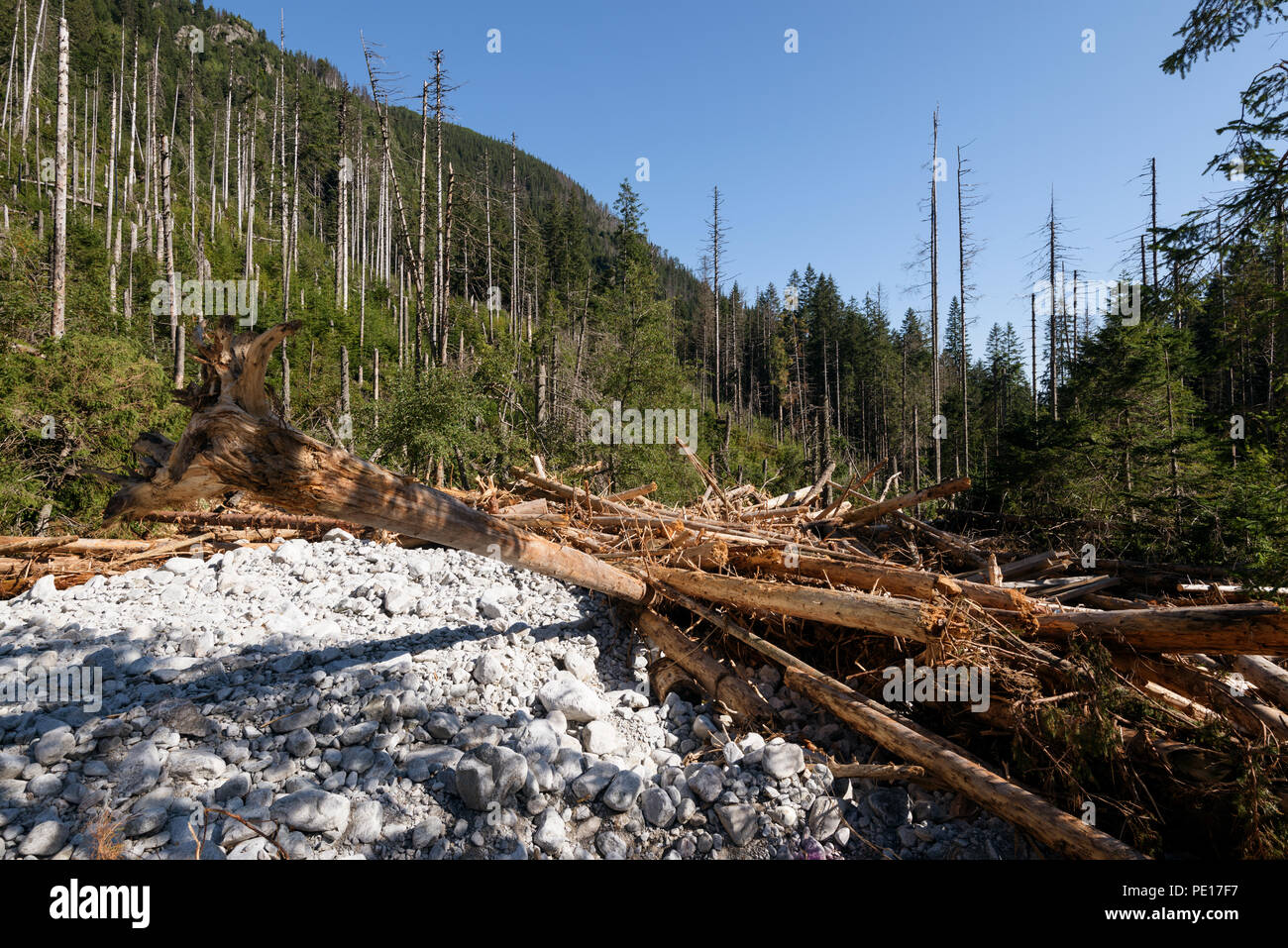 High tarta hi-res stock photography and images - Alamy