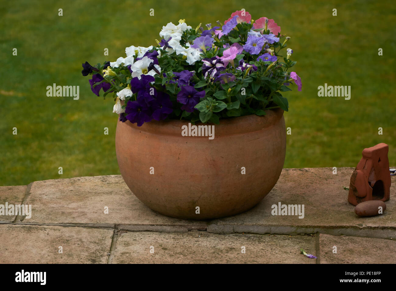 Landscapes , Flowers and wildlife Stock Photo - Alamy