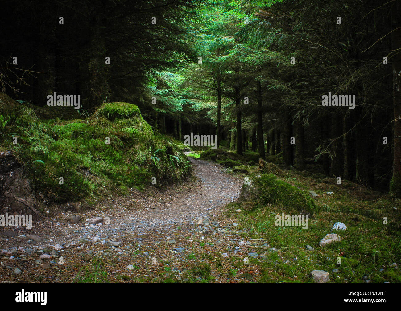 Galtees hi-res stock photography and images - Alamy