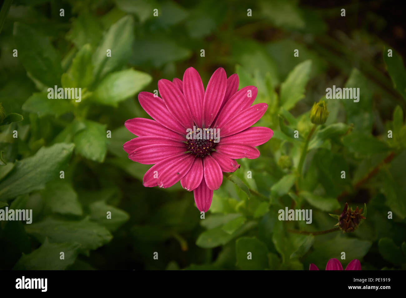 Indoor landscapes hi-res stock photography and images - Alamy