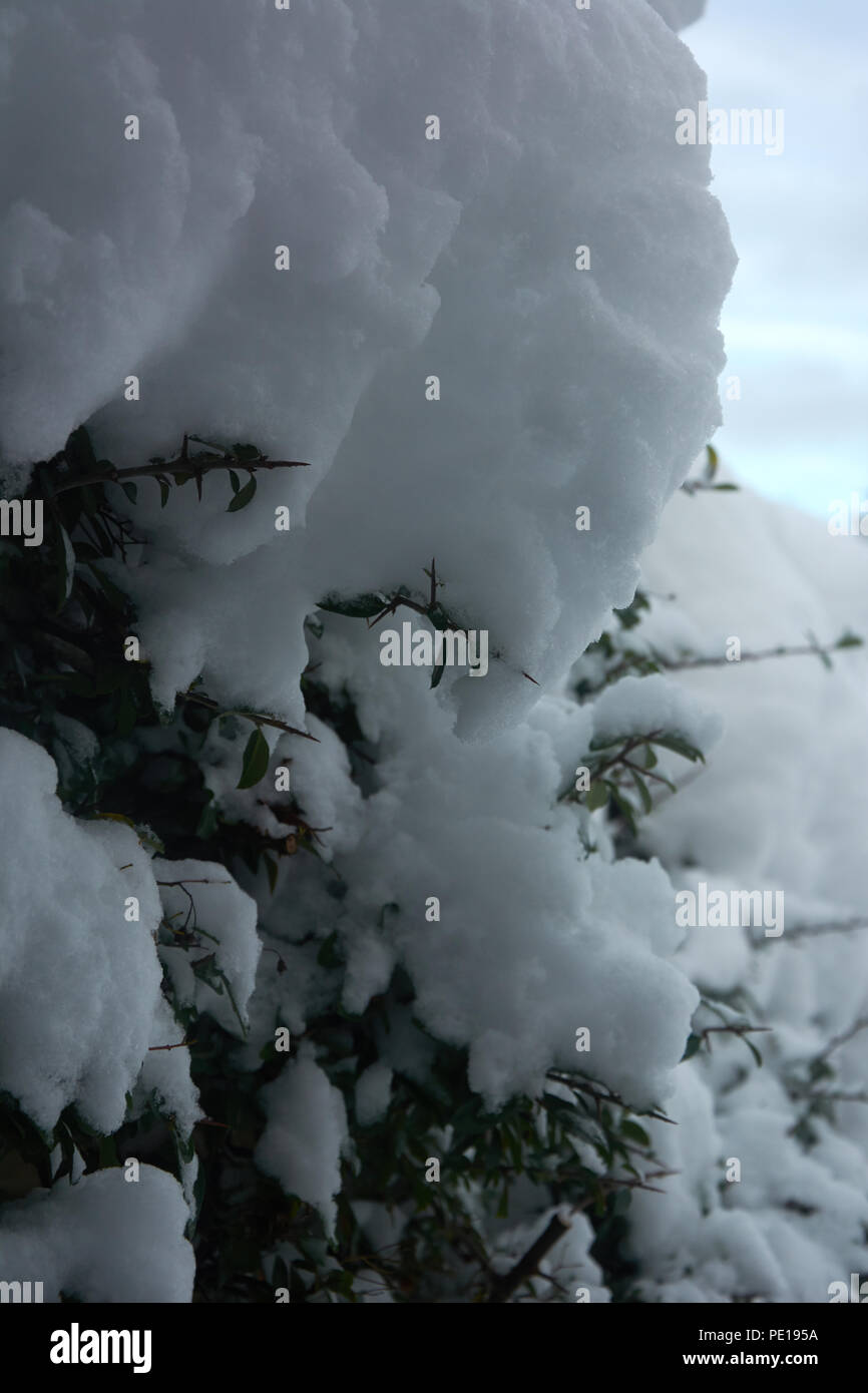 Winter and cold climate Stock Photo - Alamy