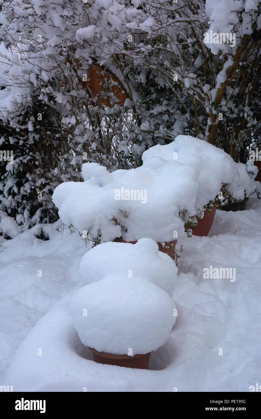 Winter and cold climate Stock Photo - Alamy