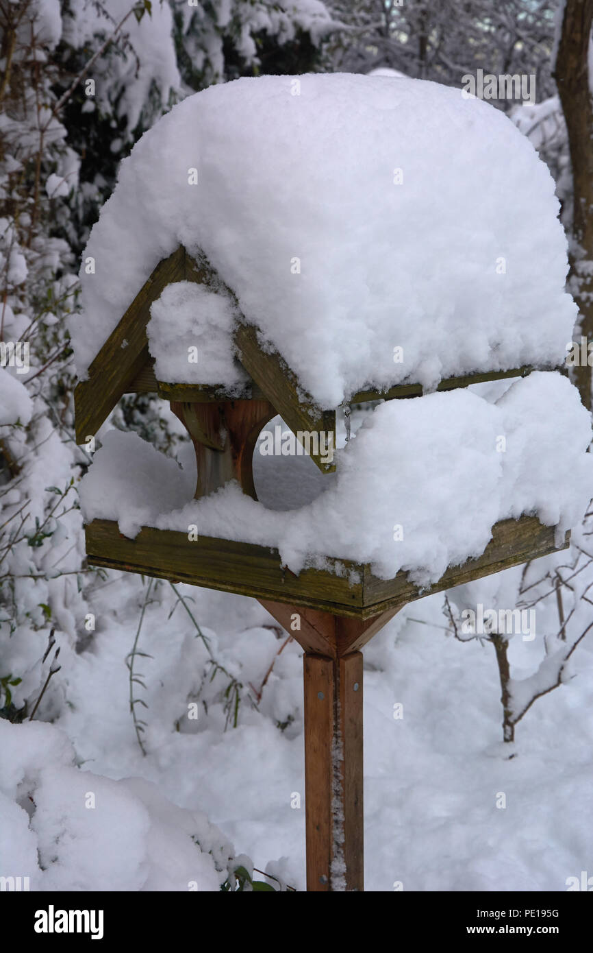 Winter and cold climate Stock Photo - Alamy