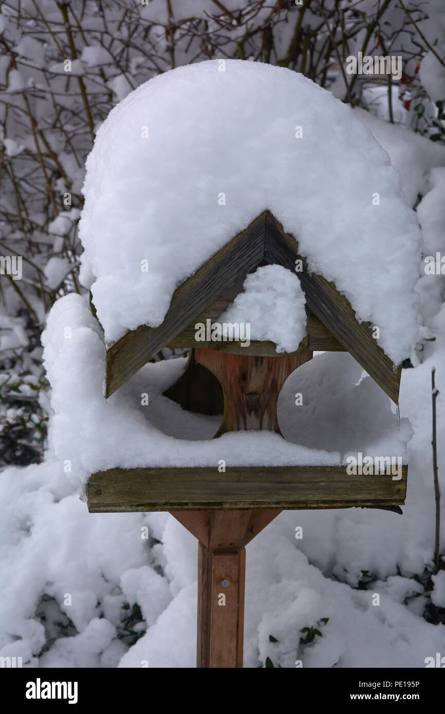 Winter and cold climate Stock Photo - Alamy