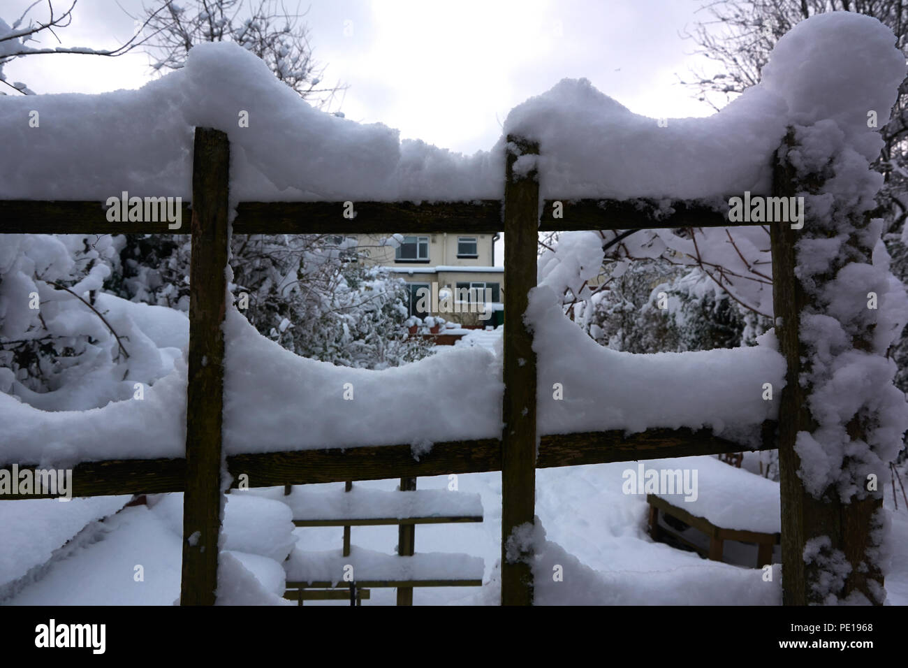 Winter and cold climate Stock Photo - Alamy