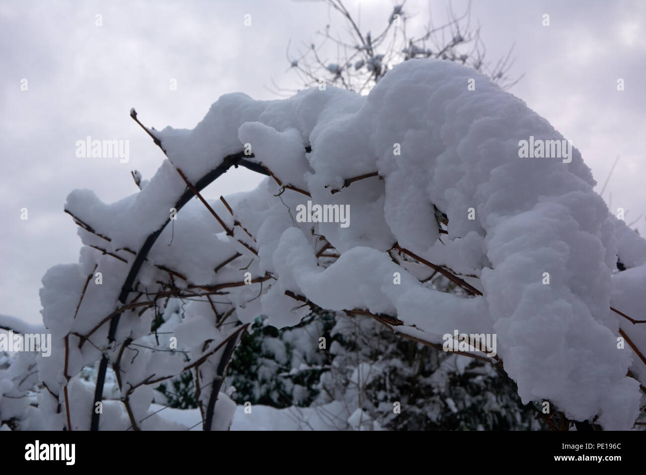 Winter and cold climate Stock Photo - Alamy