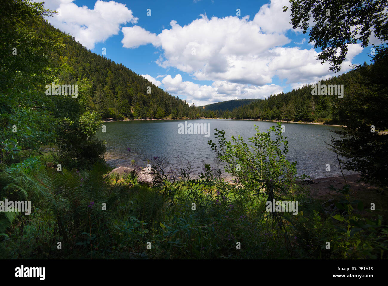 Mystic lake " Lac des corbeaux" (raven lake) in the Vosges mountains in ...