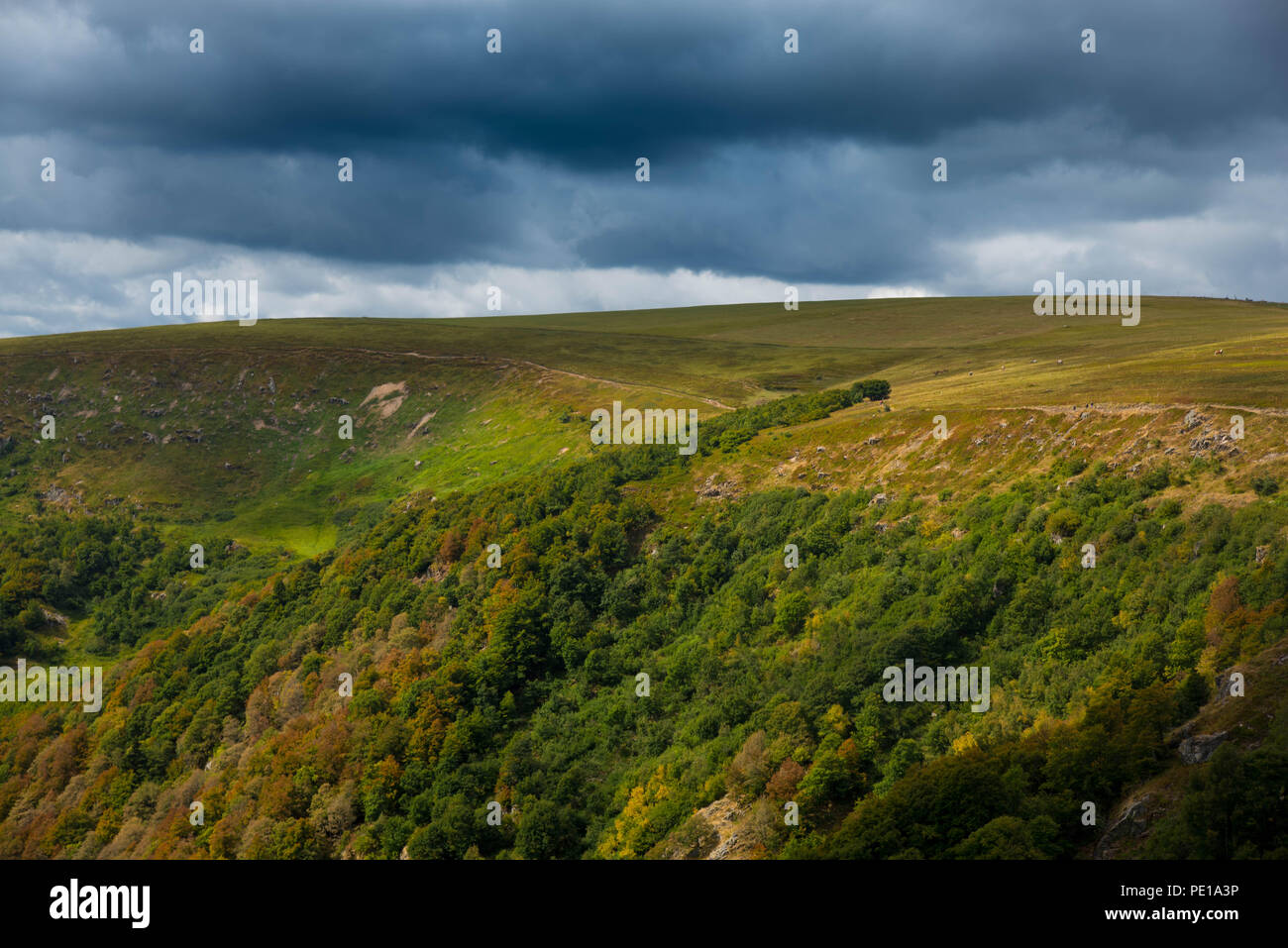 The Hohneck in the Vosges mountains in France Stock Photo - Alamy