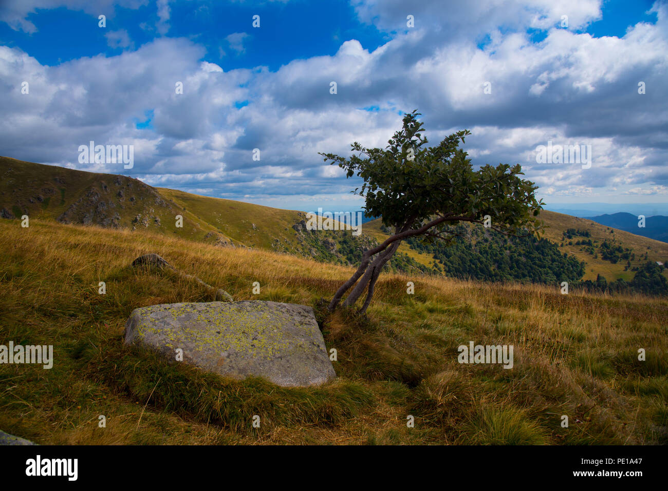The Hohneck in the Vosges mountains in France Stock Photo - Alamy
