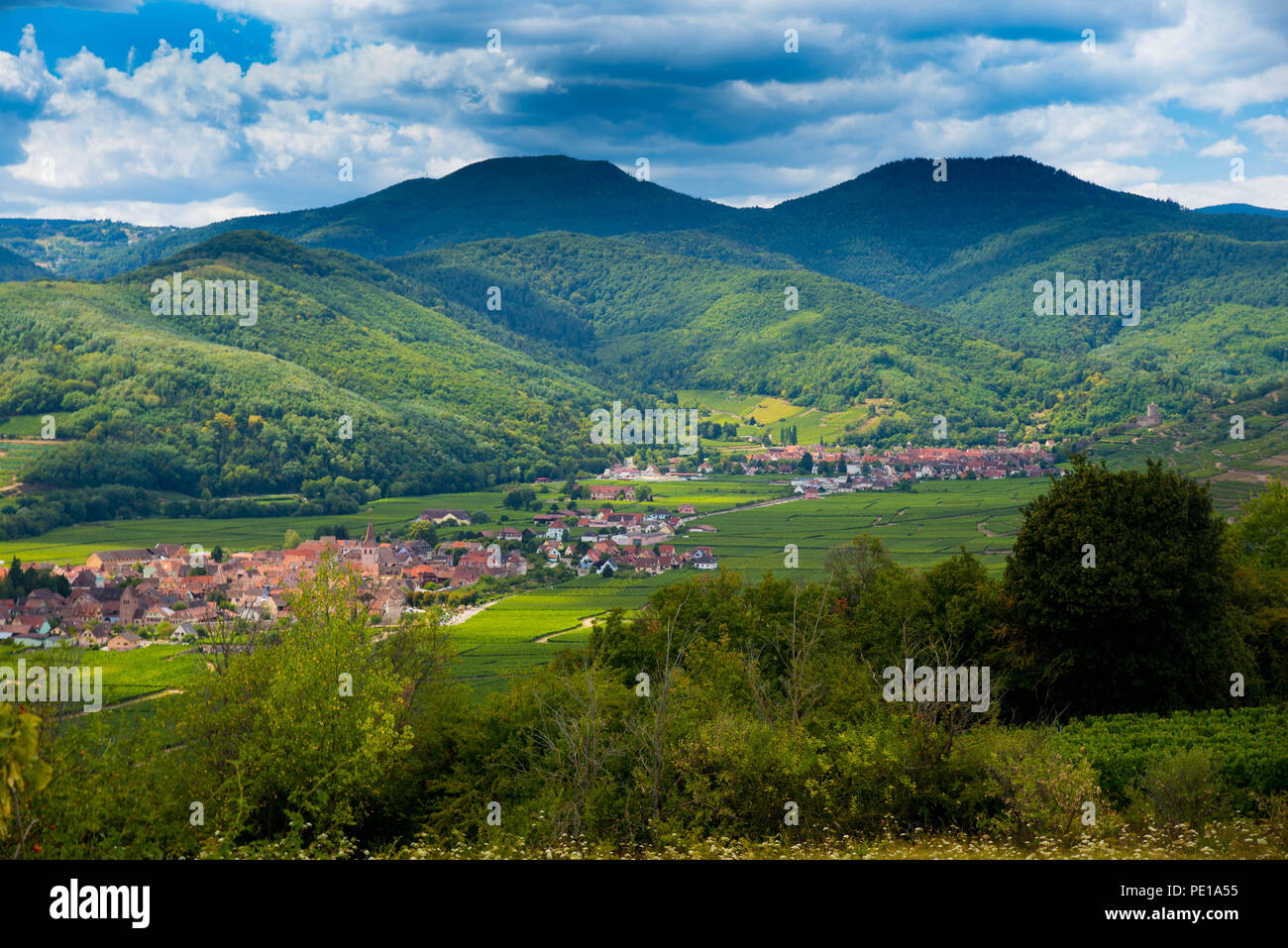 Beautiful Alsace in France, view to Sigolsheim Stock Photo - Alamy
