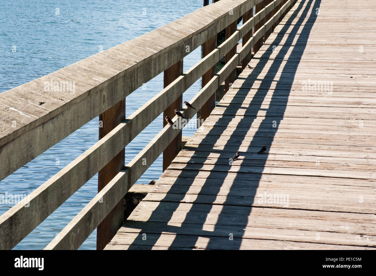 Sunlit travel board hi-res stock photography and images - Alamy