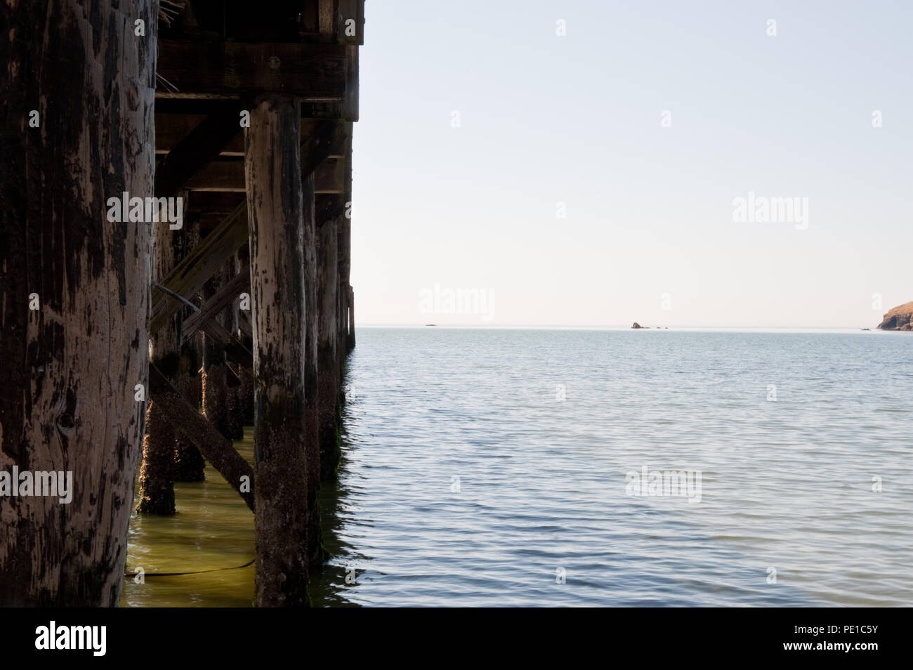 Supported by timber struts hi-res stock photography and images - Alamy