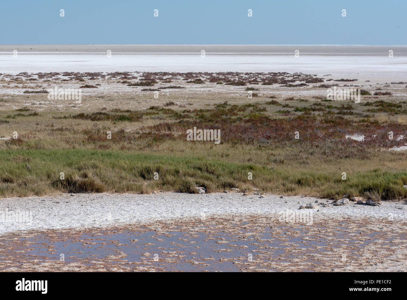 Salt Flats Namibia High Resolution Stock Photography and Images - Alamy