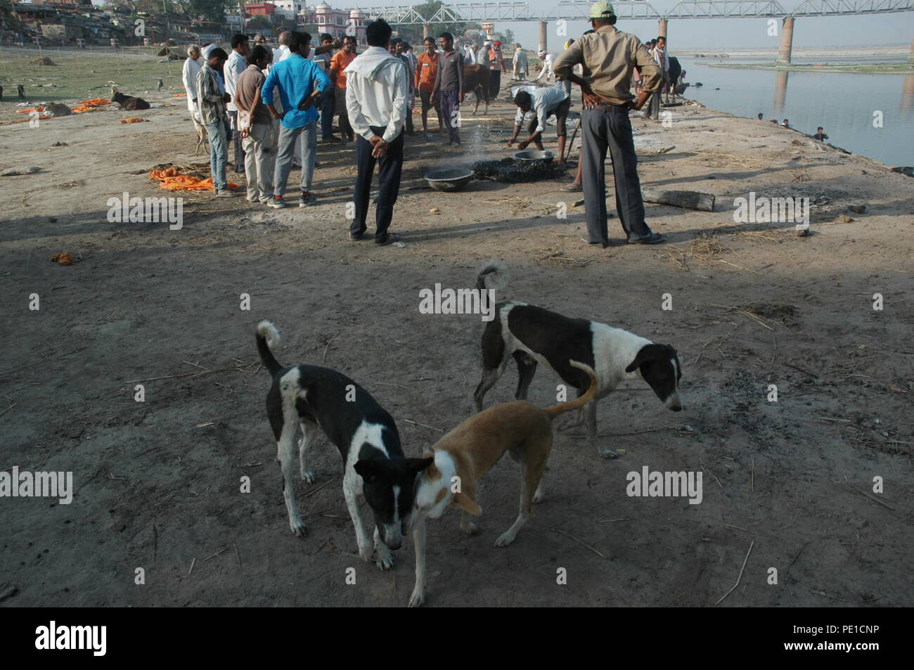 Crimination hi-res stock photography and images - Alamy