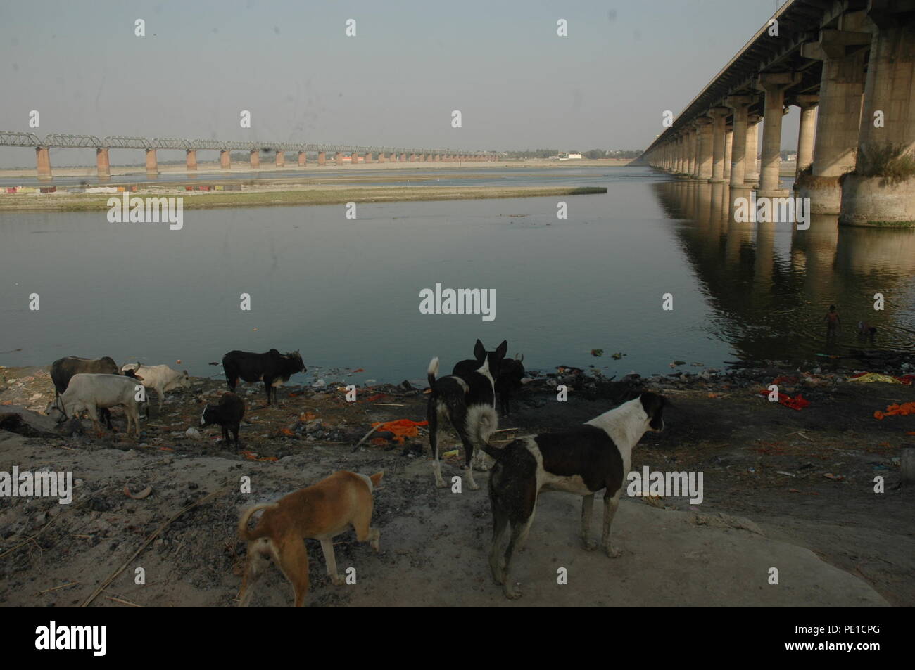 Crimination hi-res stock photography and images - Alamy